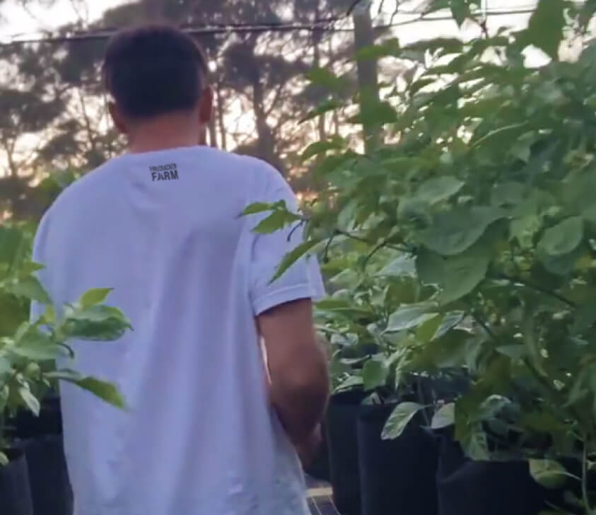 Our Story | Firecracker Farm